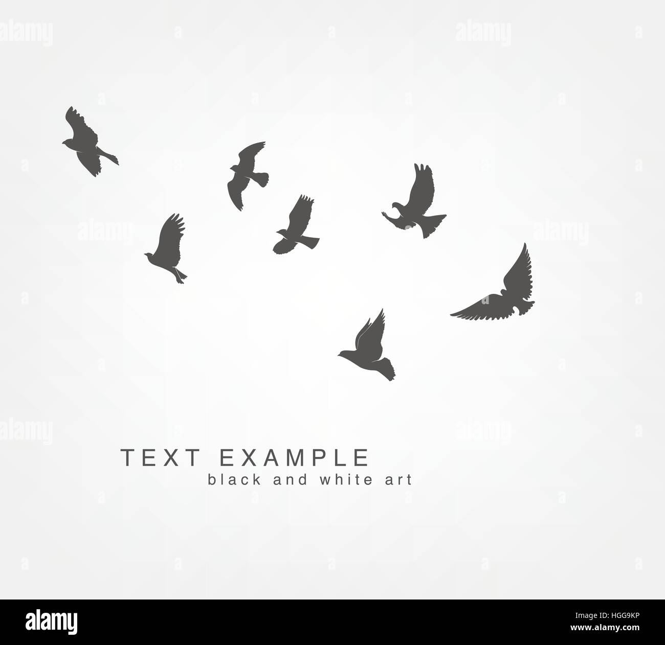 Flying and gliding animals Stock Vector Images - Alamy