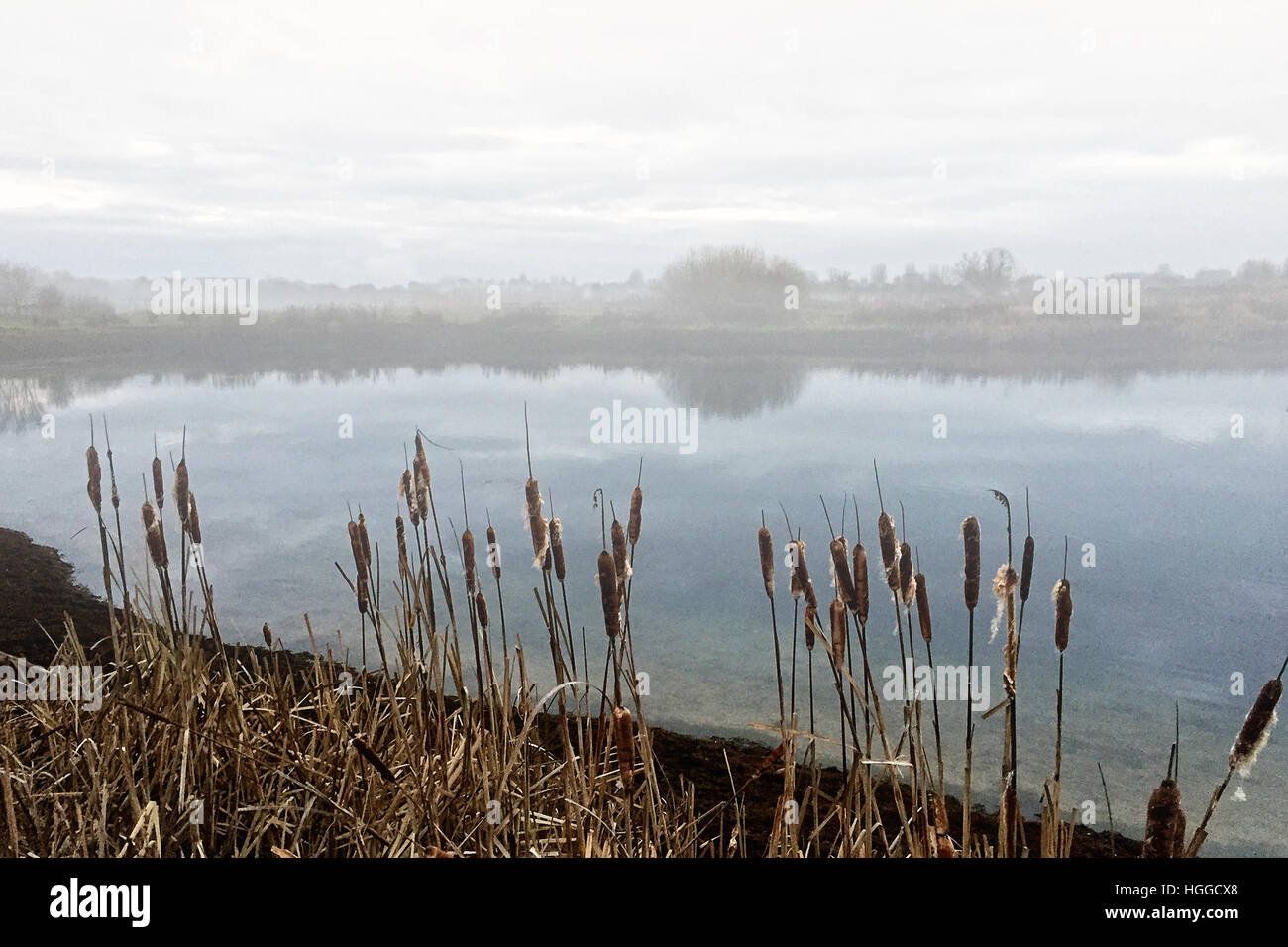 Tar lakes hi-res stock photography and images - Alamy