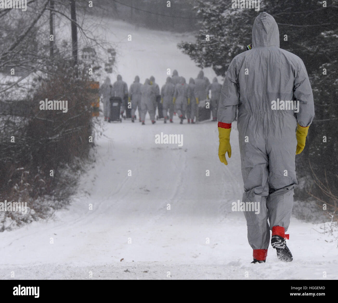 Different speci hi-res stock photography and images - Alamy