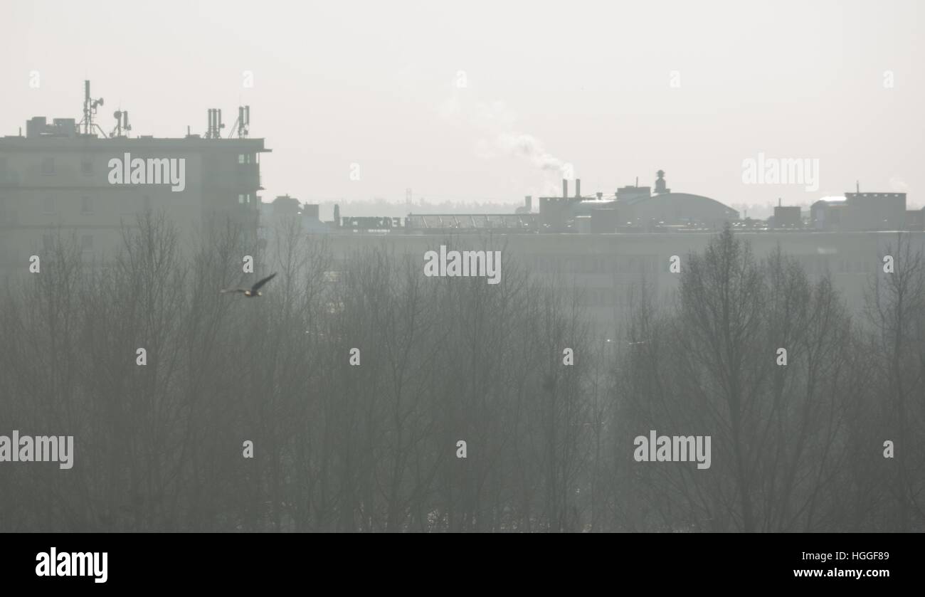 Coal burning makes Poland Europe’s capital of smog. With a staggering ...