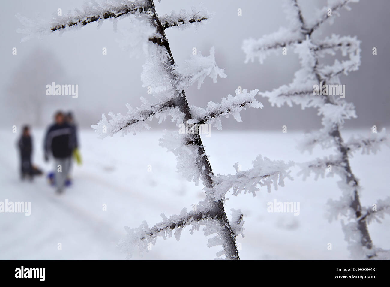 Bad Marienberg, Germany. 8th Jan, 2017. People walk along a snowy path ...