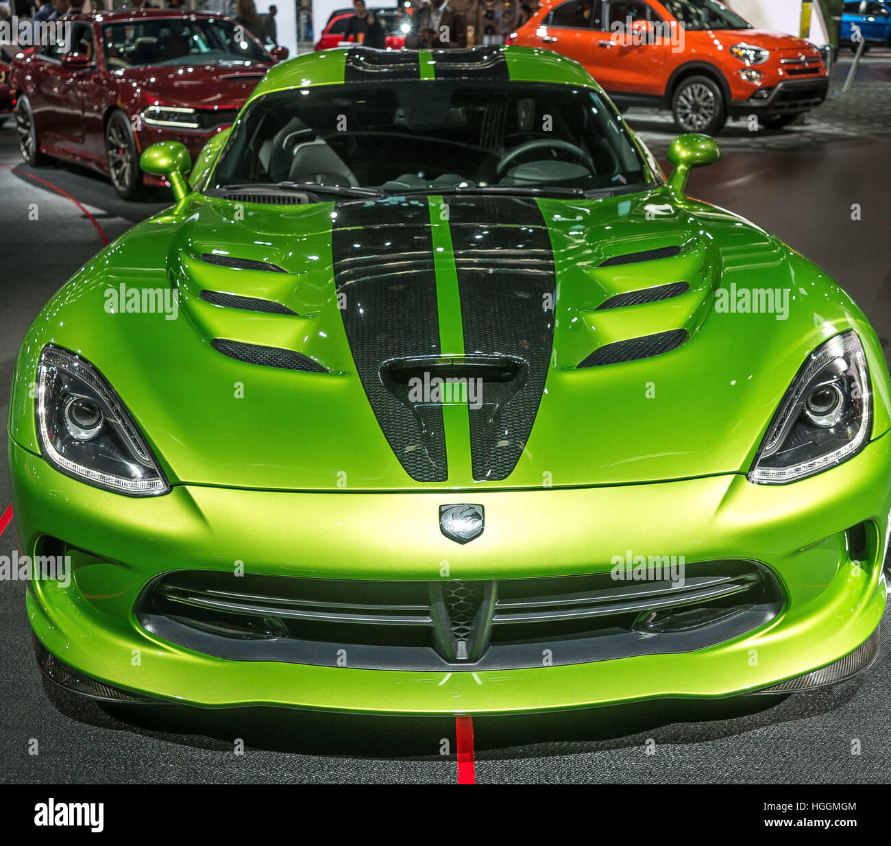 Lime Green Viper