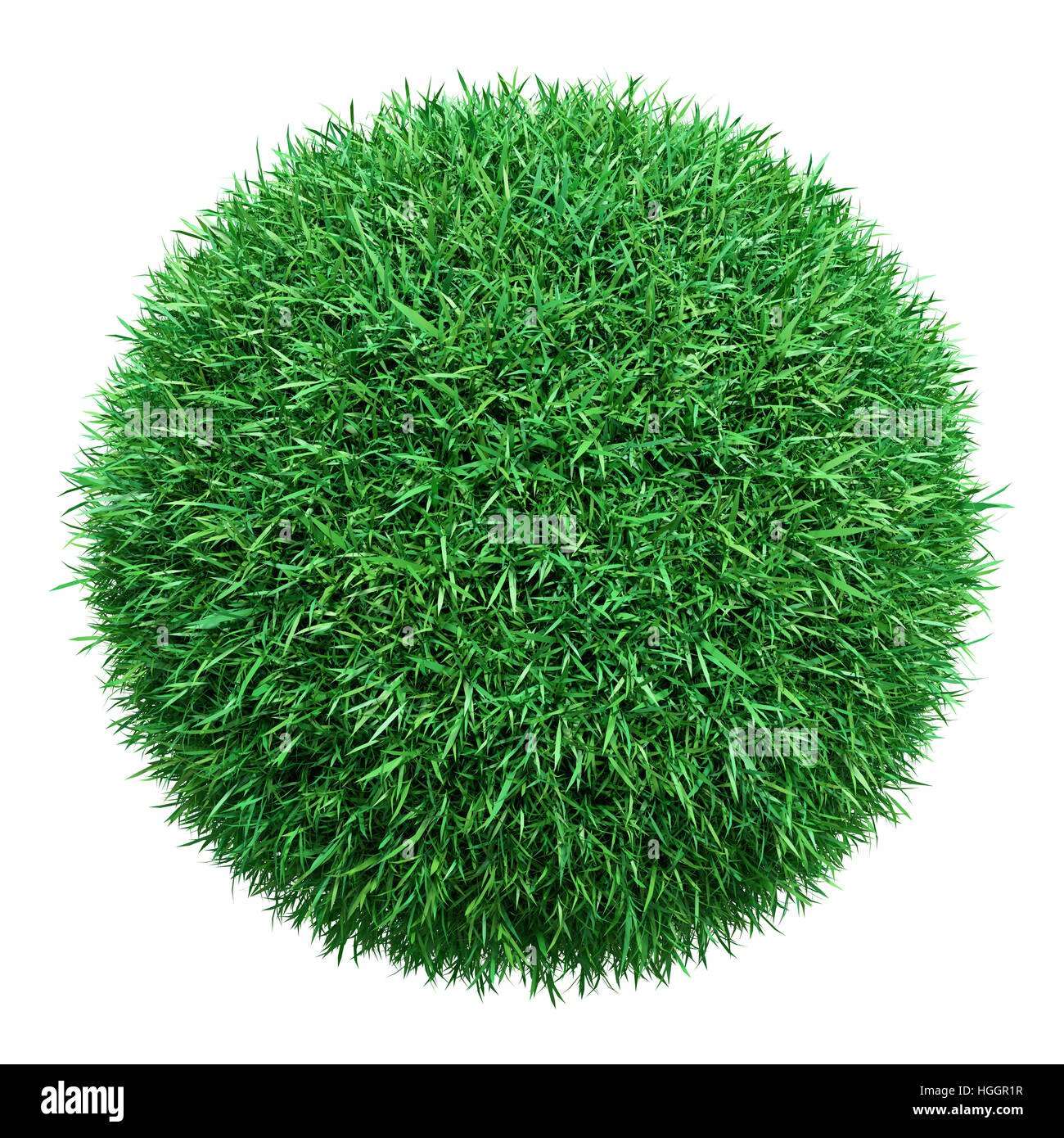 Green grass ball. Isolated on white Stock Photo - Alamy