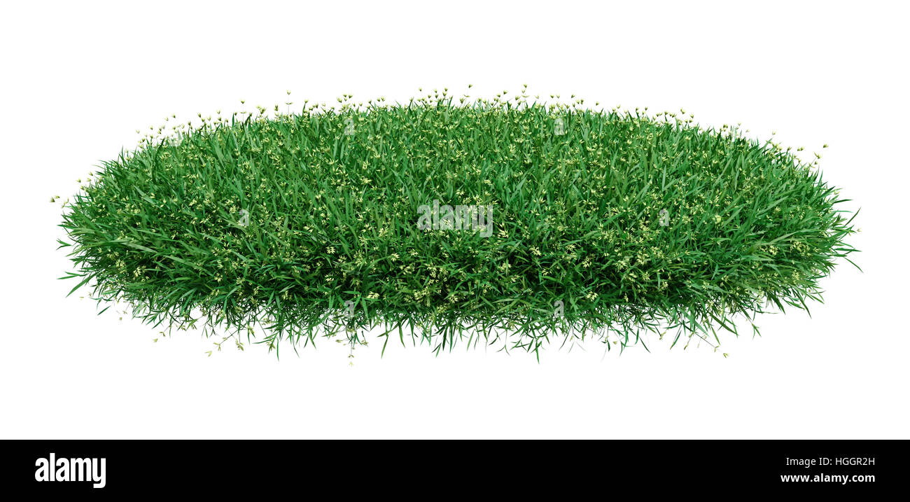 Grass circle isolated on white background Stock Photo - Alamy