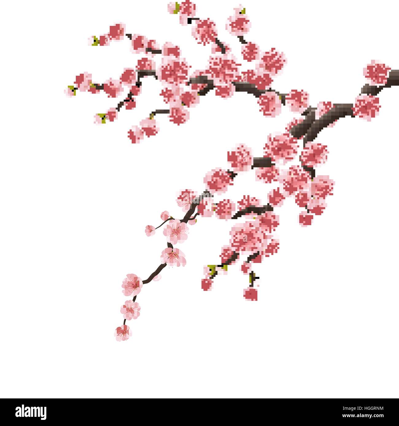 Cherry blossom branch. EPS 10 Stock Vector Image & Art - Alamy