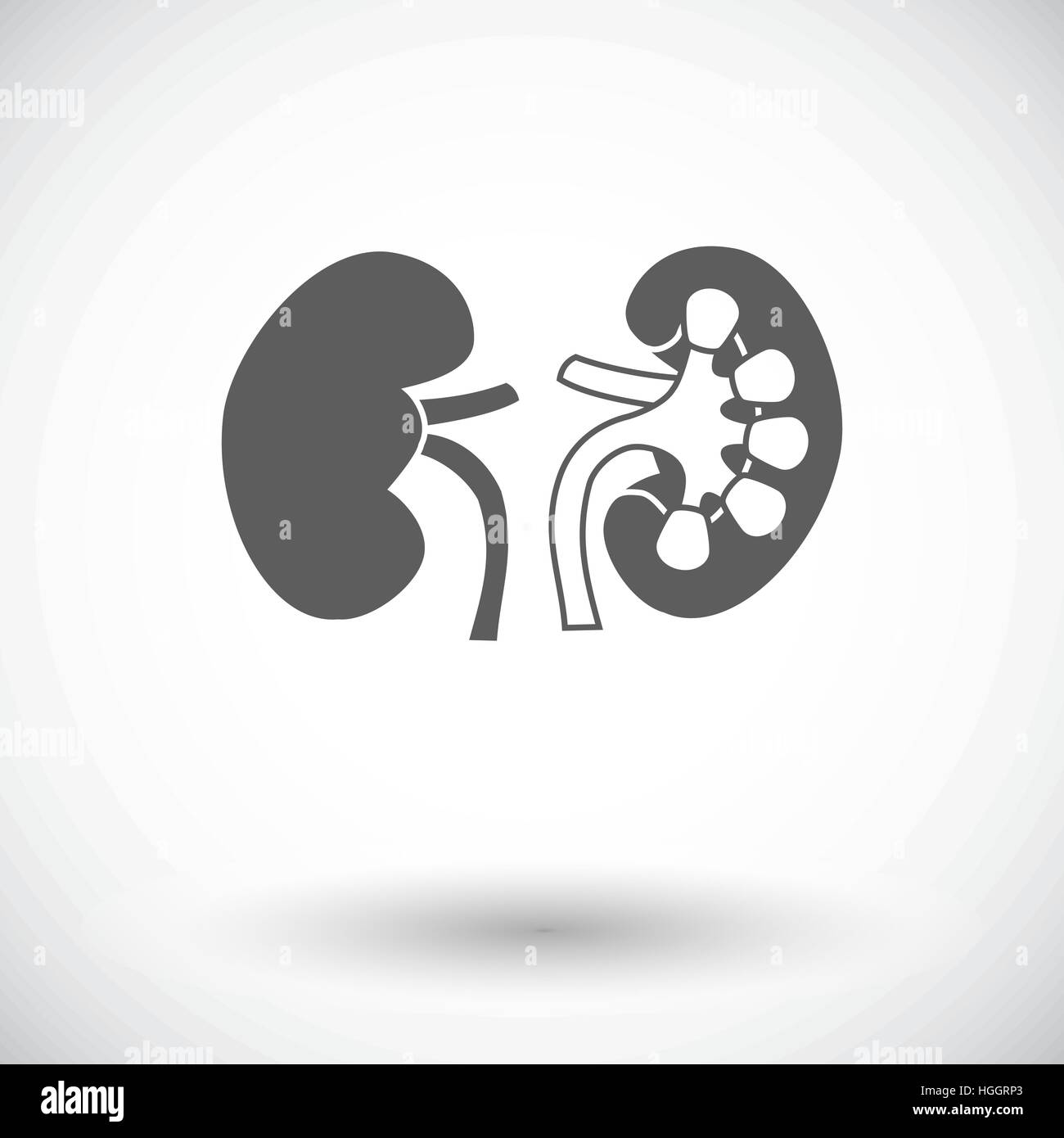 Human Kidney. Single flat icon on white background. Vector illustration ...
