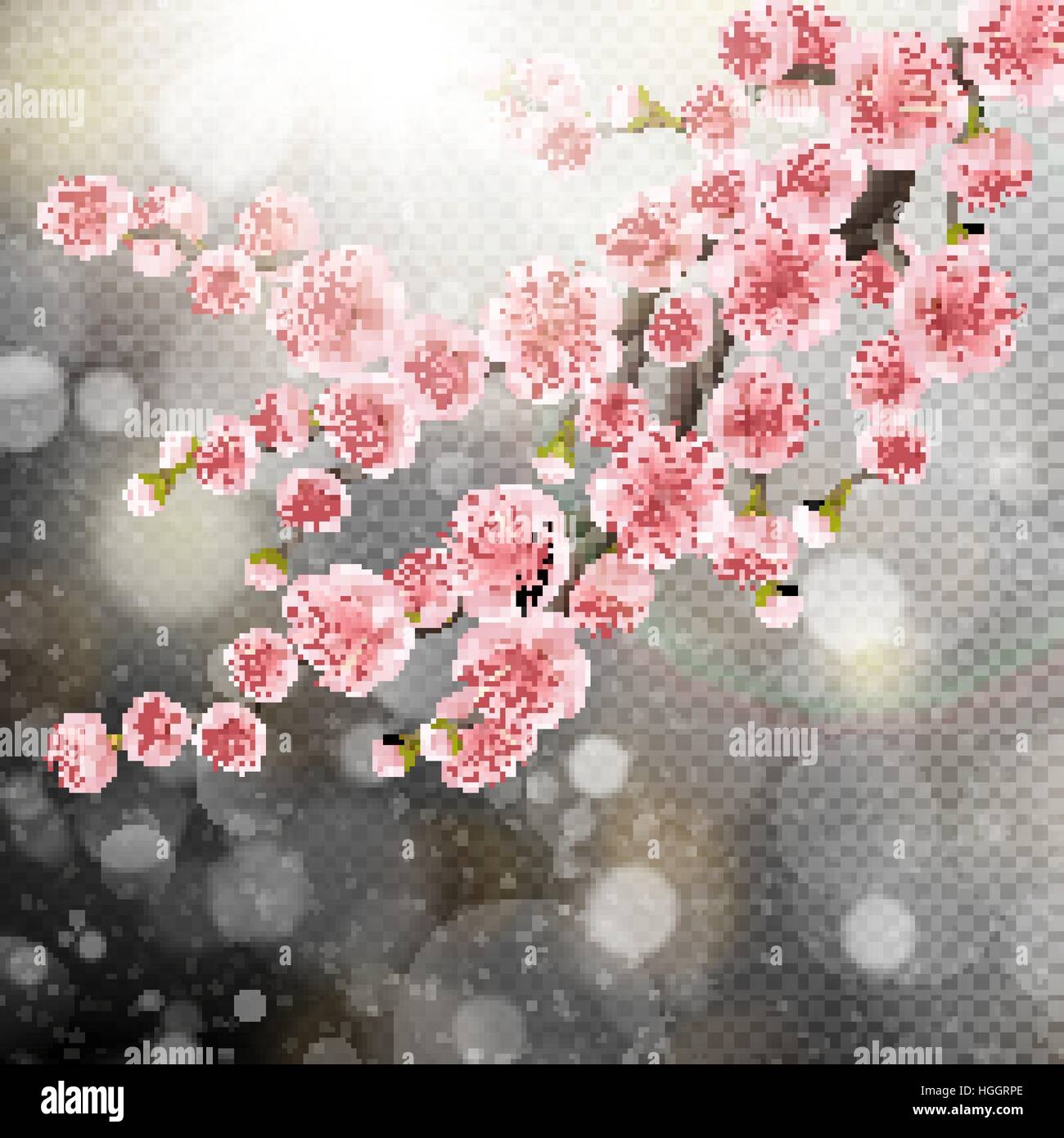 Flowers japanese sakura tree Stock Vector Images - Alamy