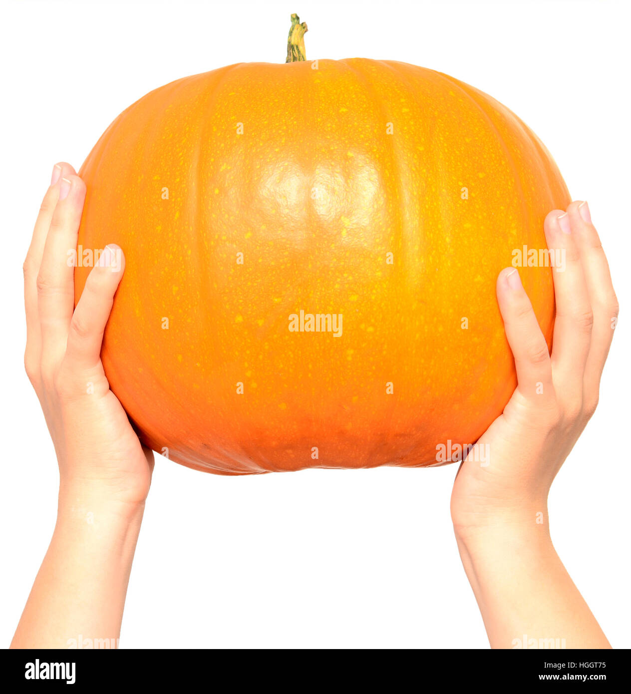 pumpkin in hands on white background Stock Photo - Alamy