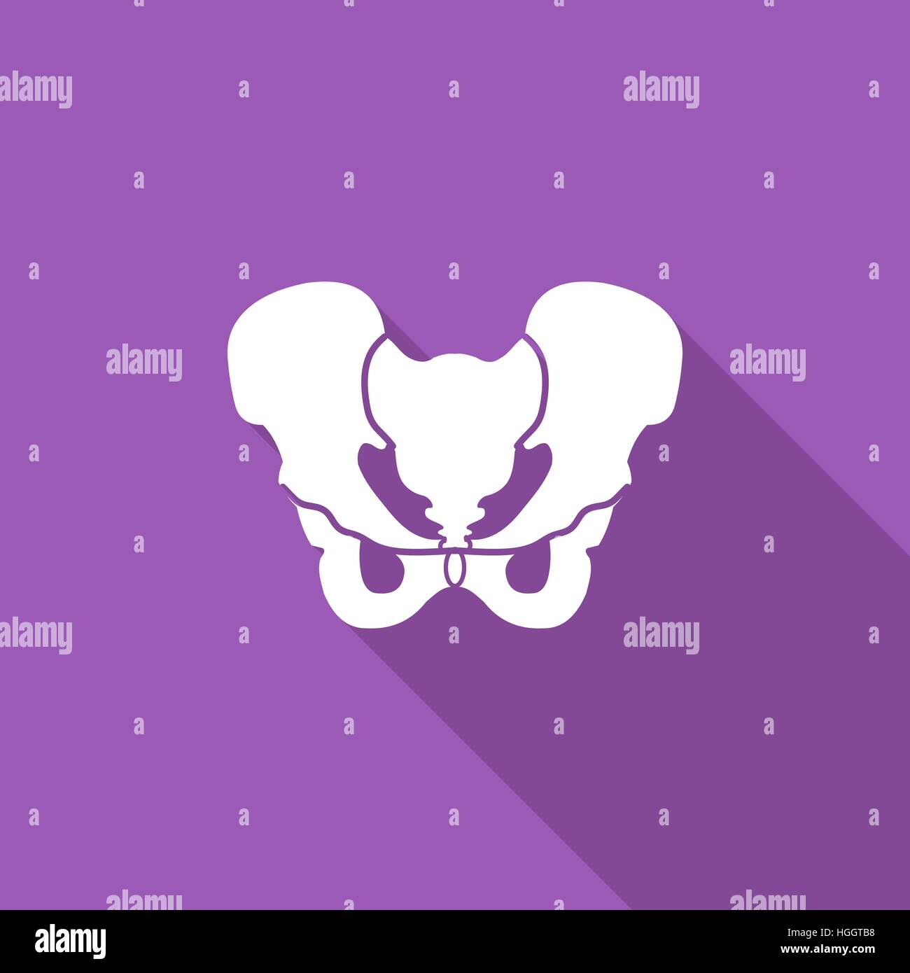 Pelvis icon. Flat vector related icon with long shadow for web and ...