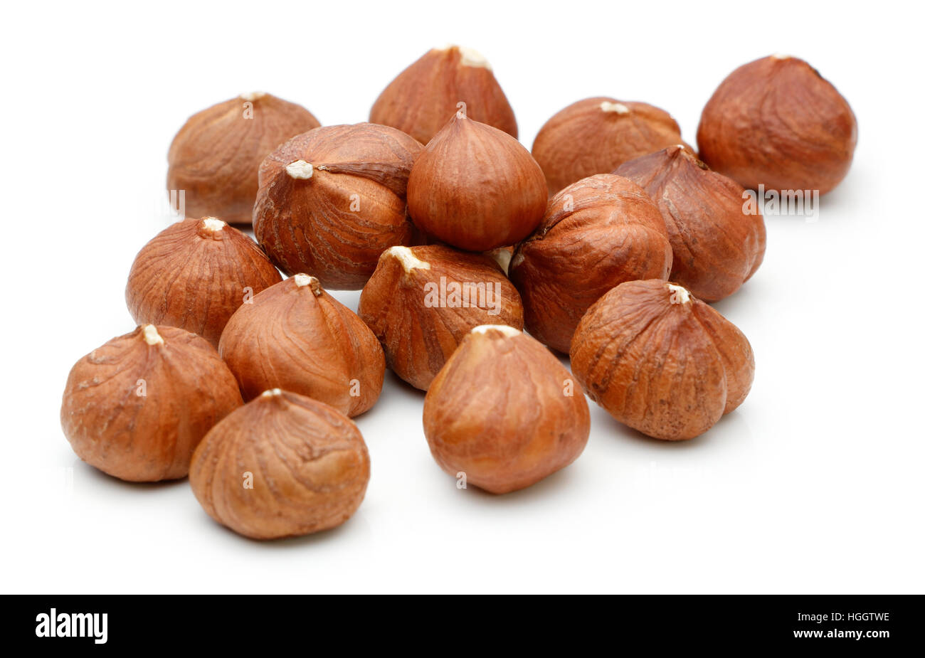 Natural unroasted hazelnut isolated on white background Stock Photo - Alamy