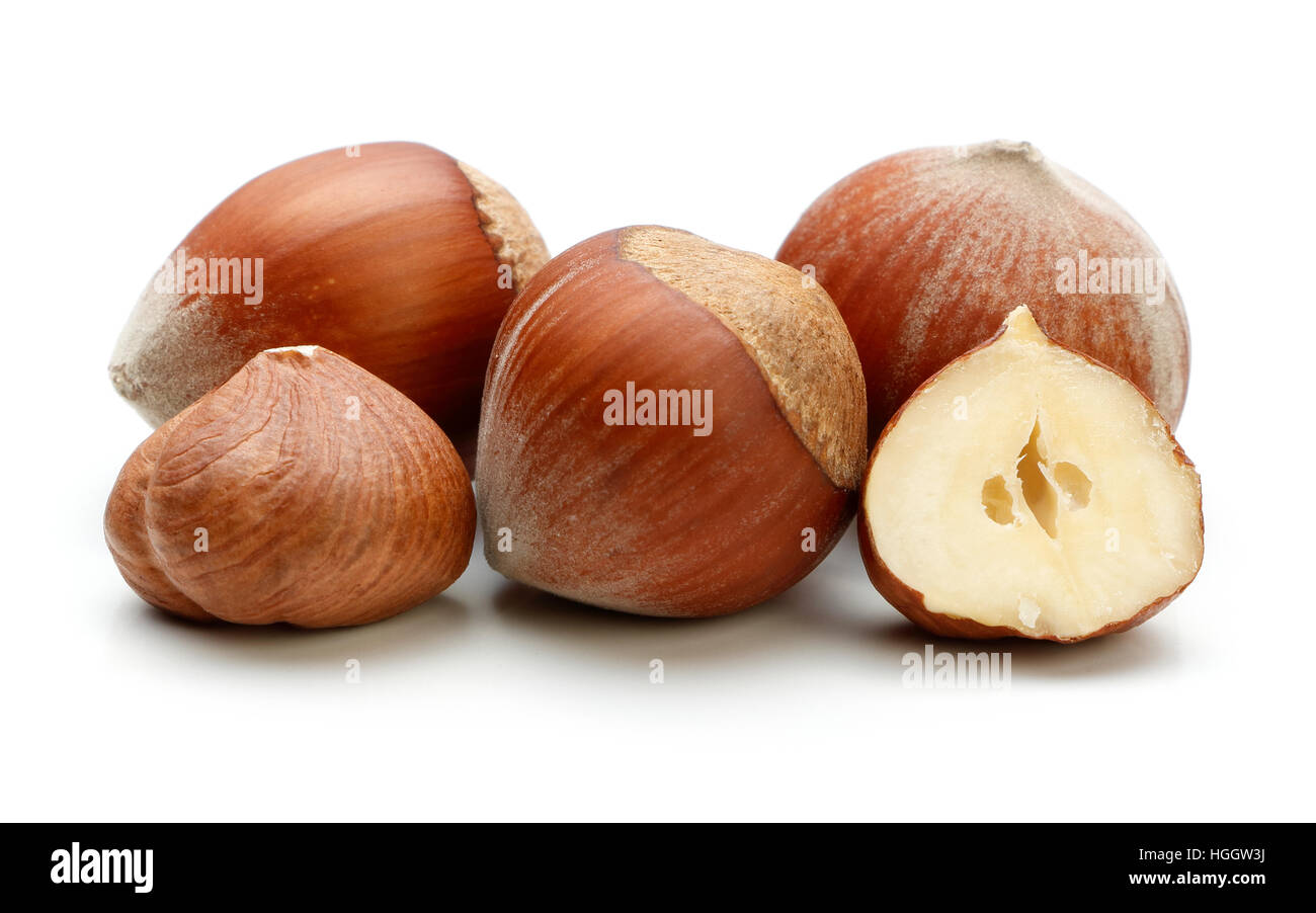 Hazelnut isolated on white background Stock Photo - Alamy
