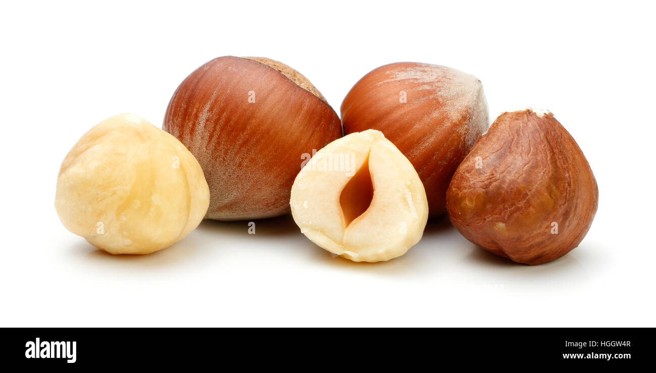 Hazelnut isolated on white background Stock Photo - Alamy