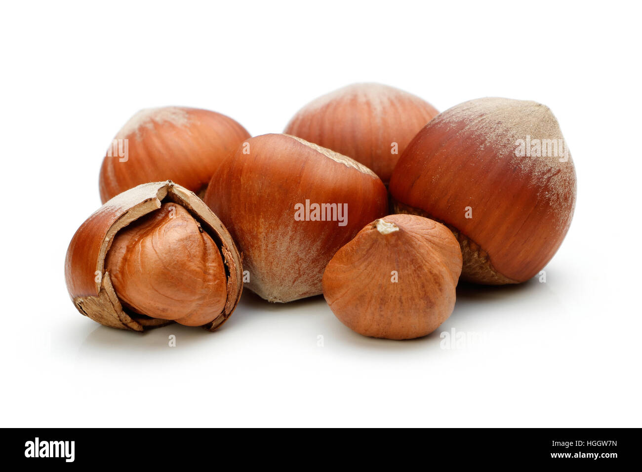 Hazelnut isolated on white background Stock Photo - Alamy