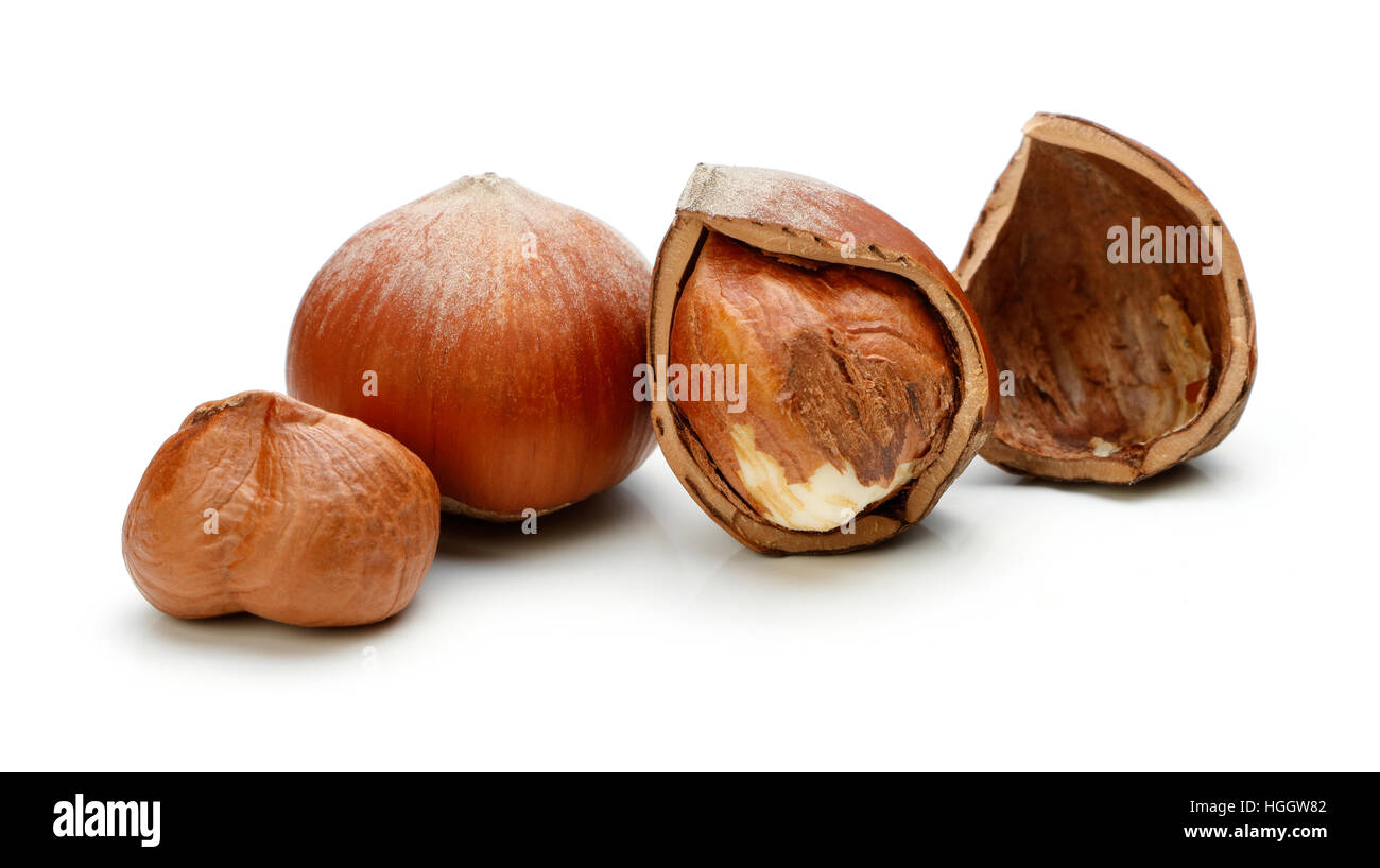 Hazelnut isolated on white background Stock Photo - Alamy