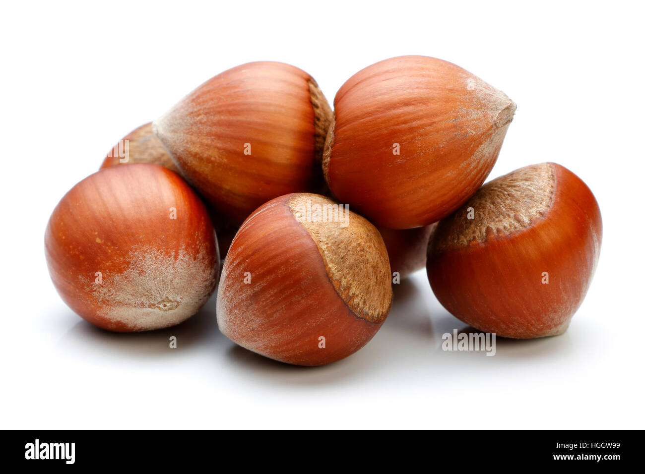 Hazelnut isolated on white background Stock Photo - Alamy