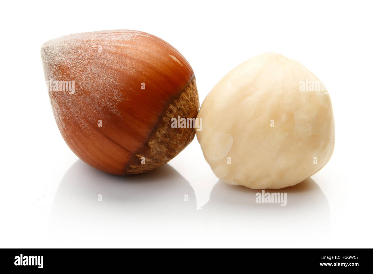 Hazelnut isolated on white background Stock Photo - Alamy