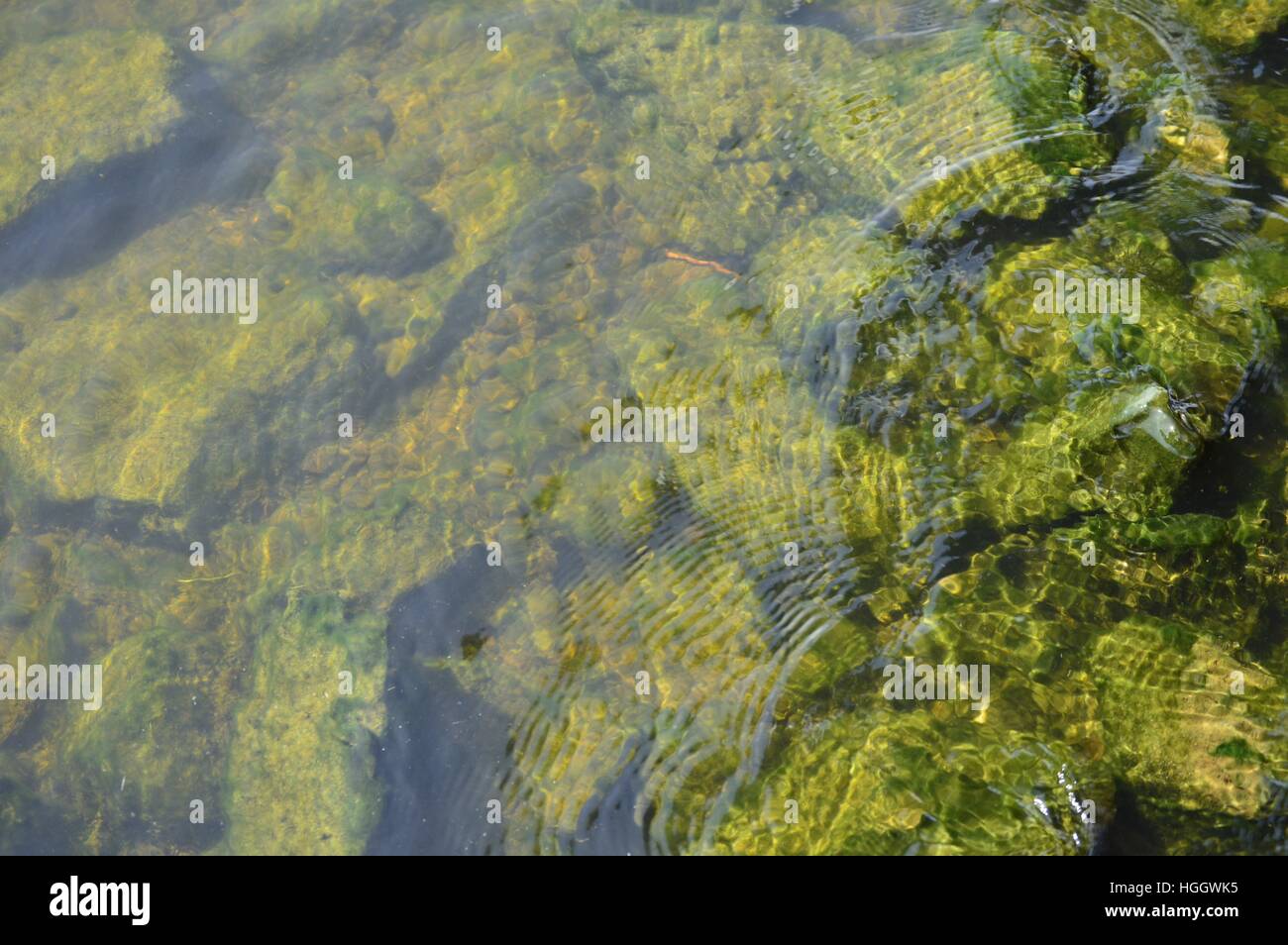 Water background in a polluted river Stock Photo - Alamy