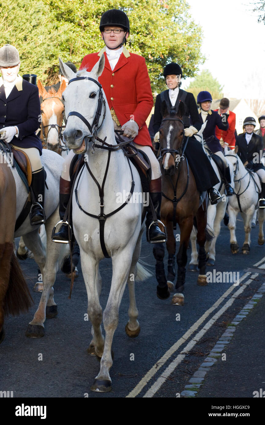 Foxhunting hi-res stock photography and images - Alamy