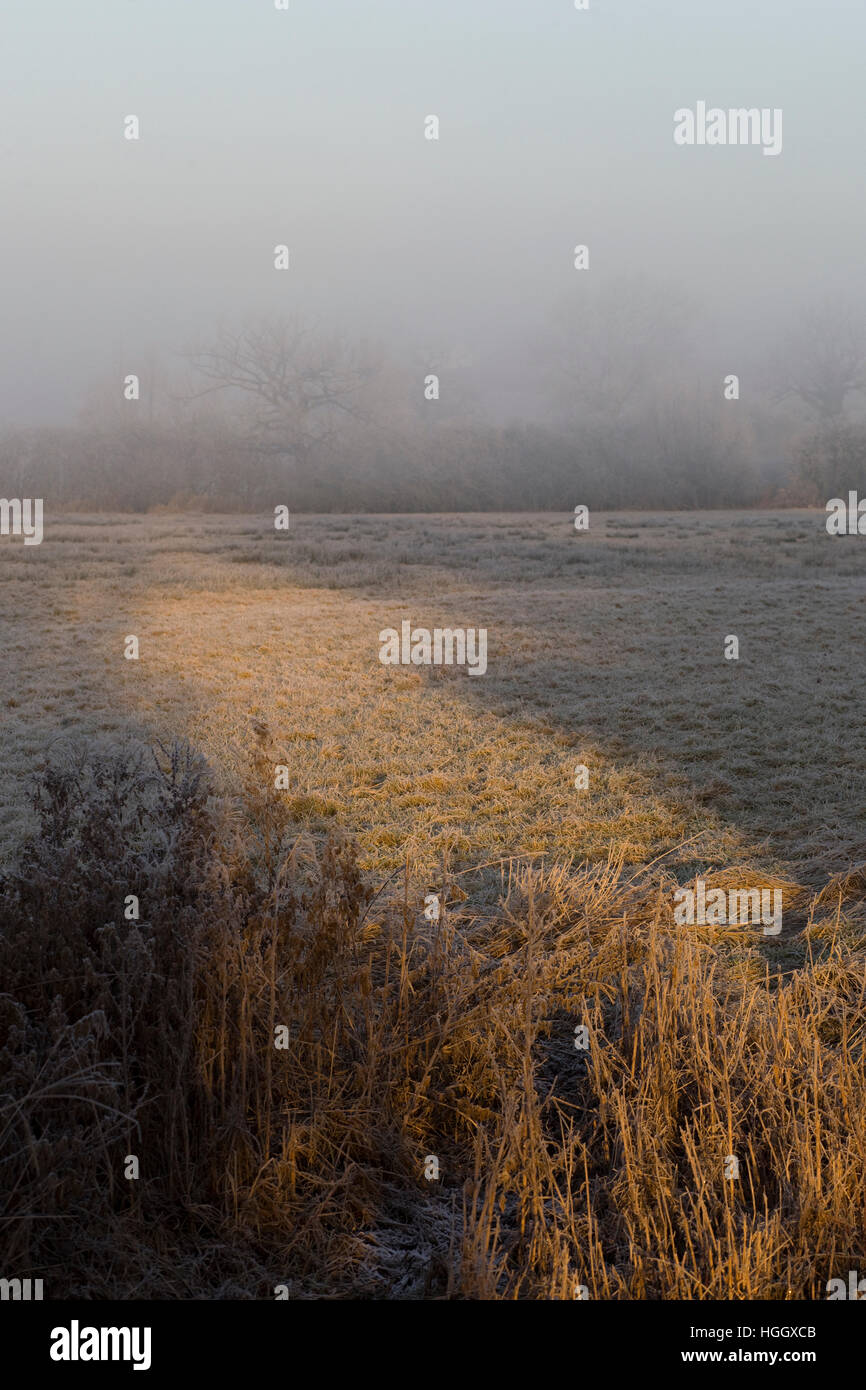 Frosty winter morning Stock Photo - Alamy