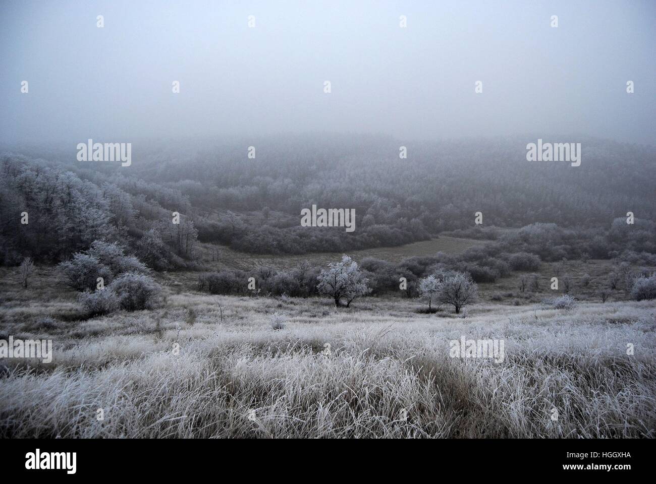 Frozen_landscape hi-res stock photography and images - Alamy