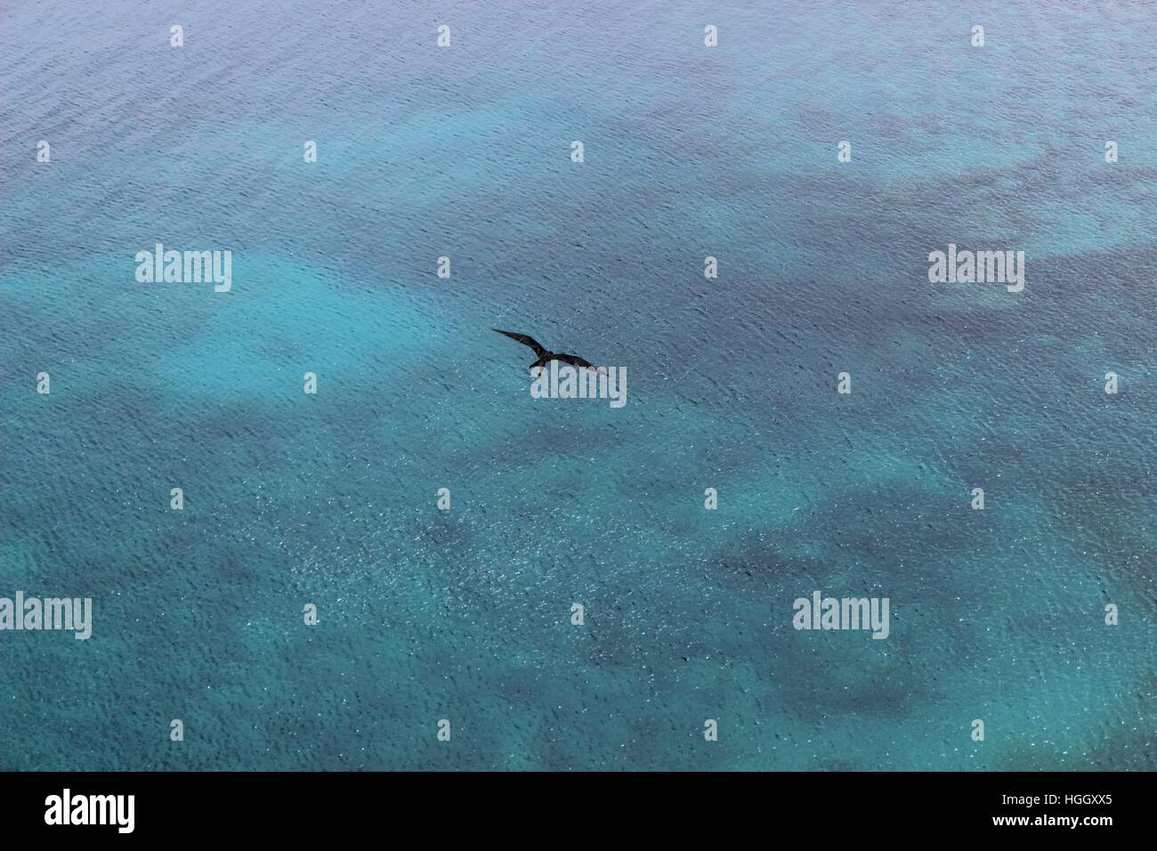 high in the air Stock Photo - Alamy