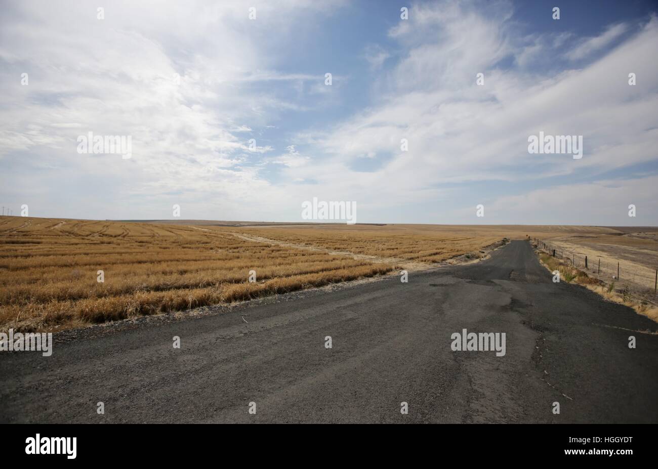 Old empty road rolling through empty golden fields going into the ...
