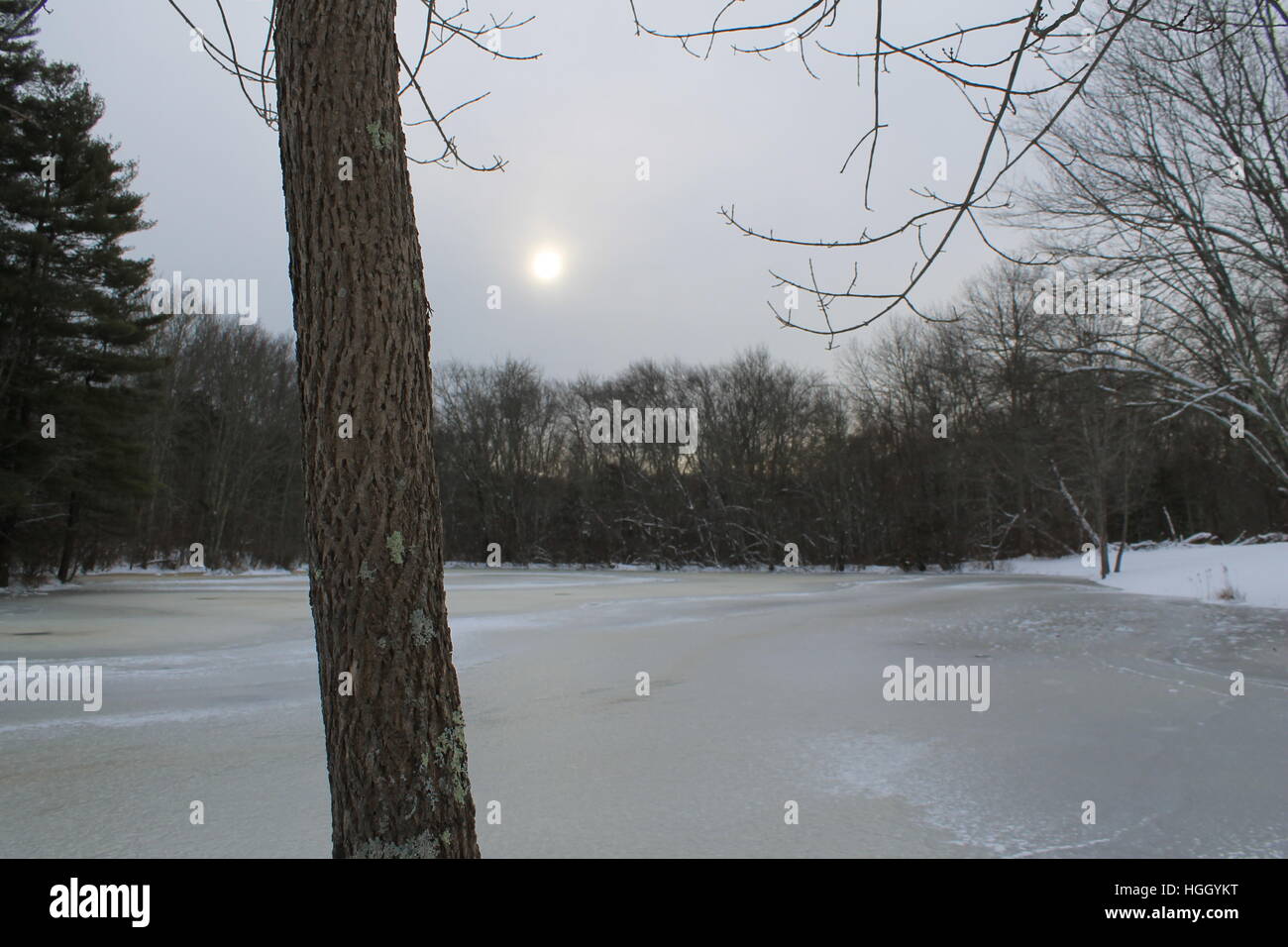 Frozen pond trees hi-res stock photography and images - Alamy