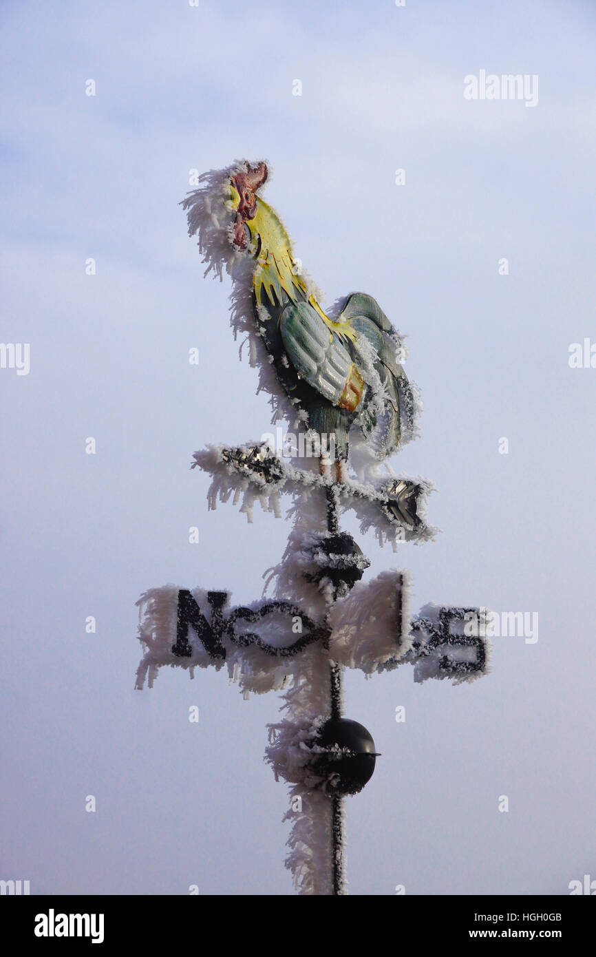 Wind vane rooster hi-res stock photography and images - Alamy
