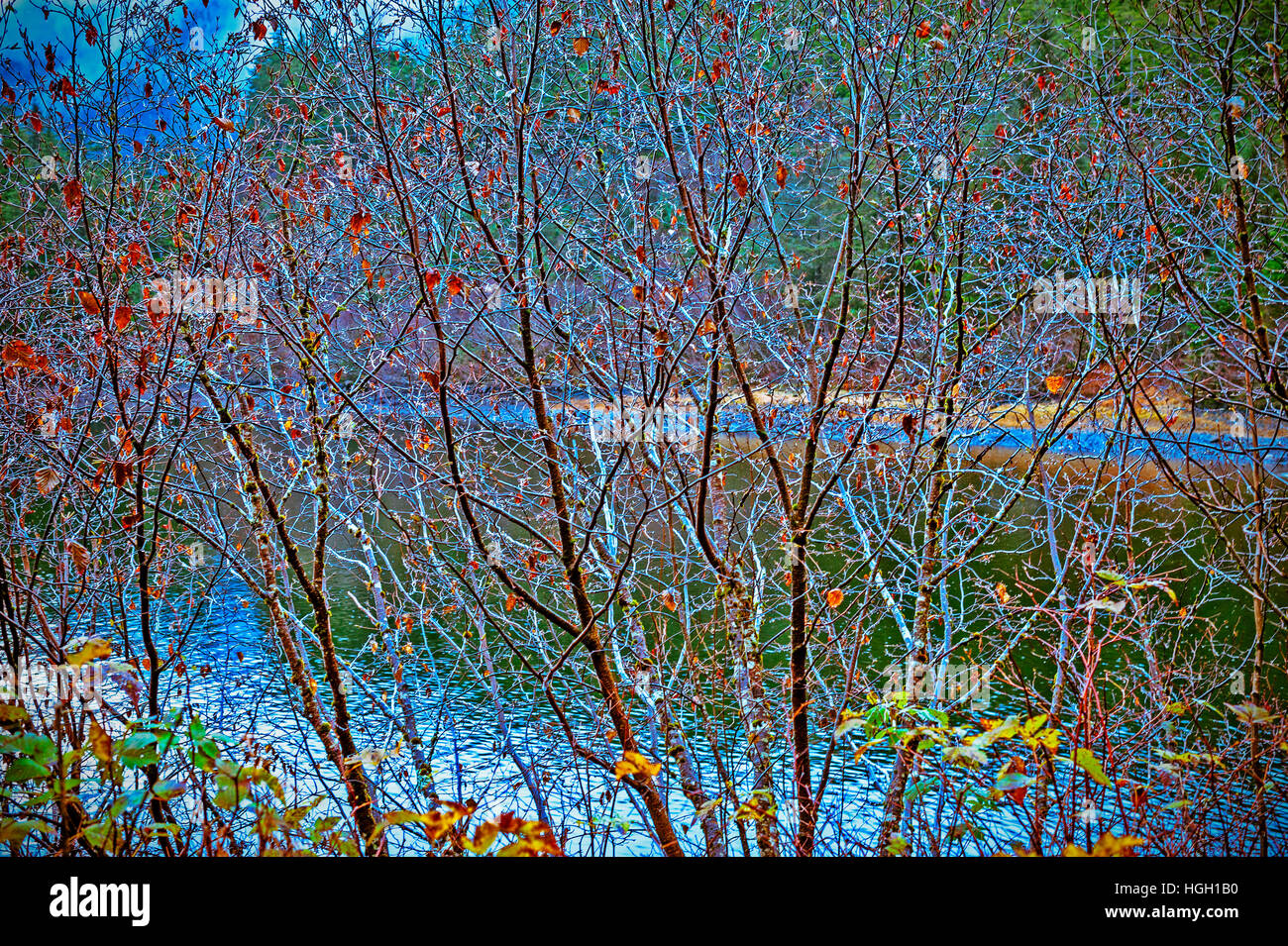 Colorful late Autumn scene near Herring Cove, Sitka, Alaska, USA Stock ...