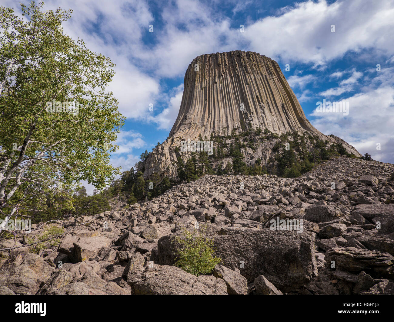 Devil's Tower from the Tower Trail, Devil's Tower National Monument ...