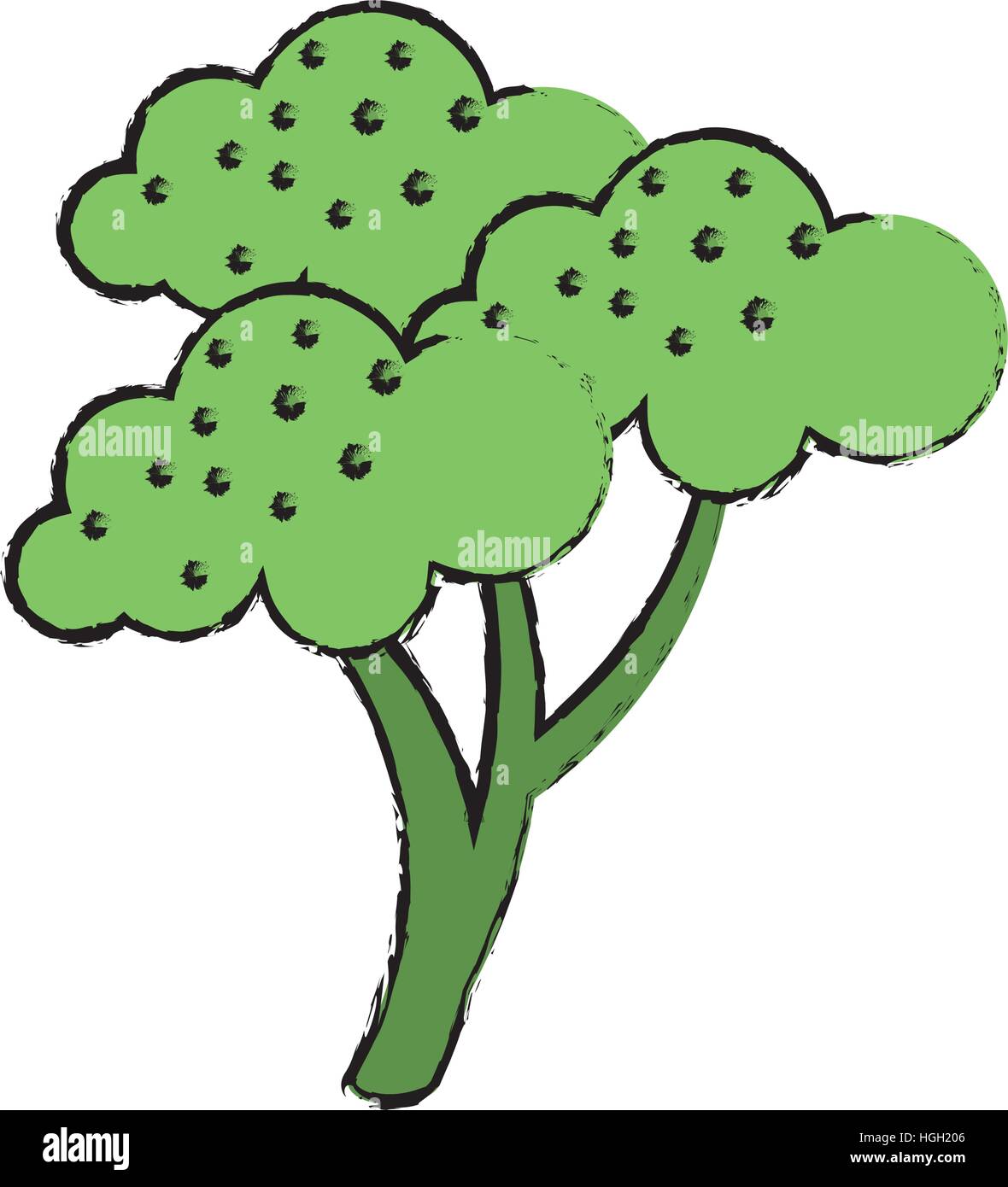 Broccoli Drawing High Resolution Stock Photography and Images - Alamy