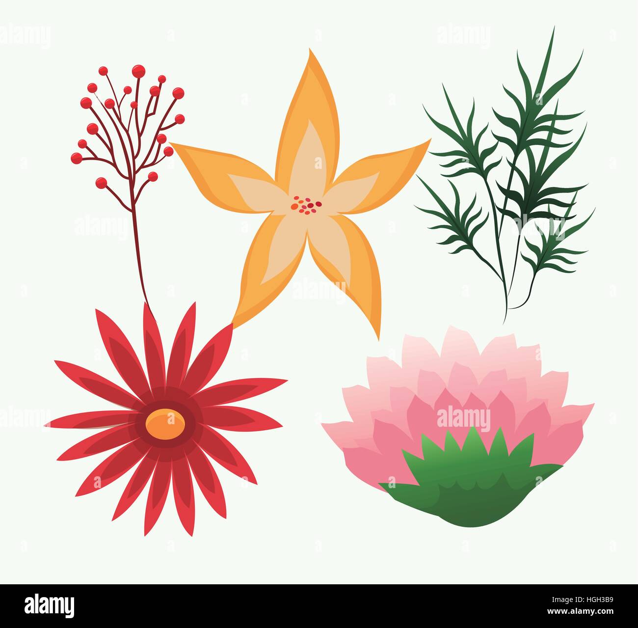 set flowers delicate foliage leaves botany Stock Vector Image & Art - Alamy