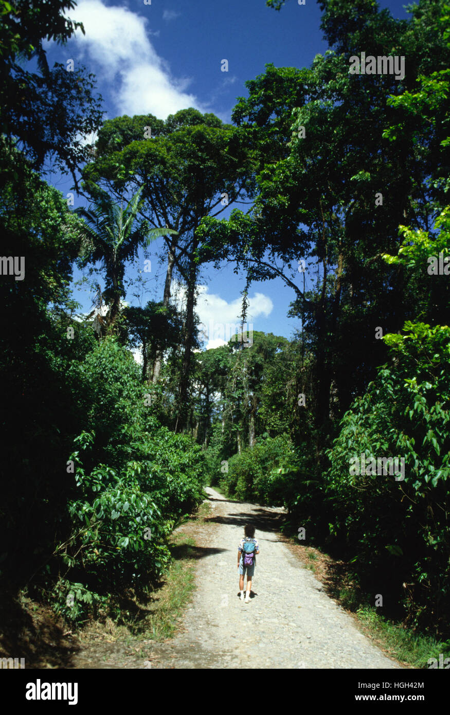 Pathway through costa rica hi-res stock photography and images - Alamy