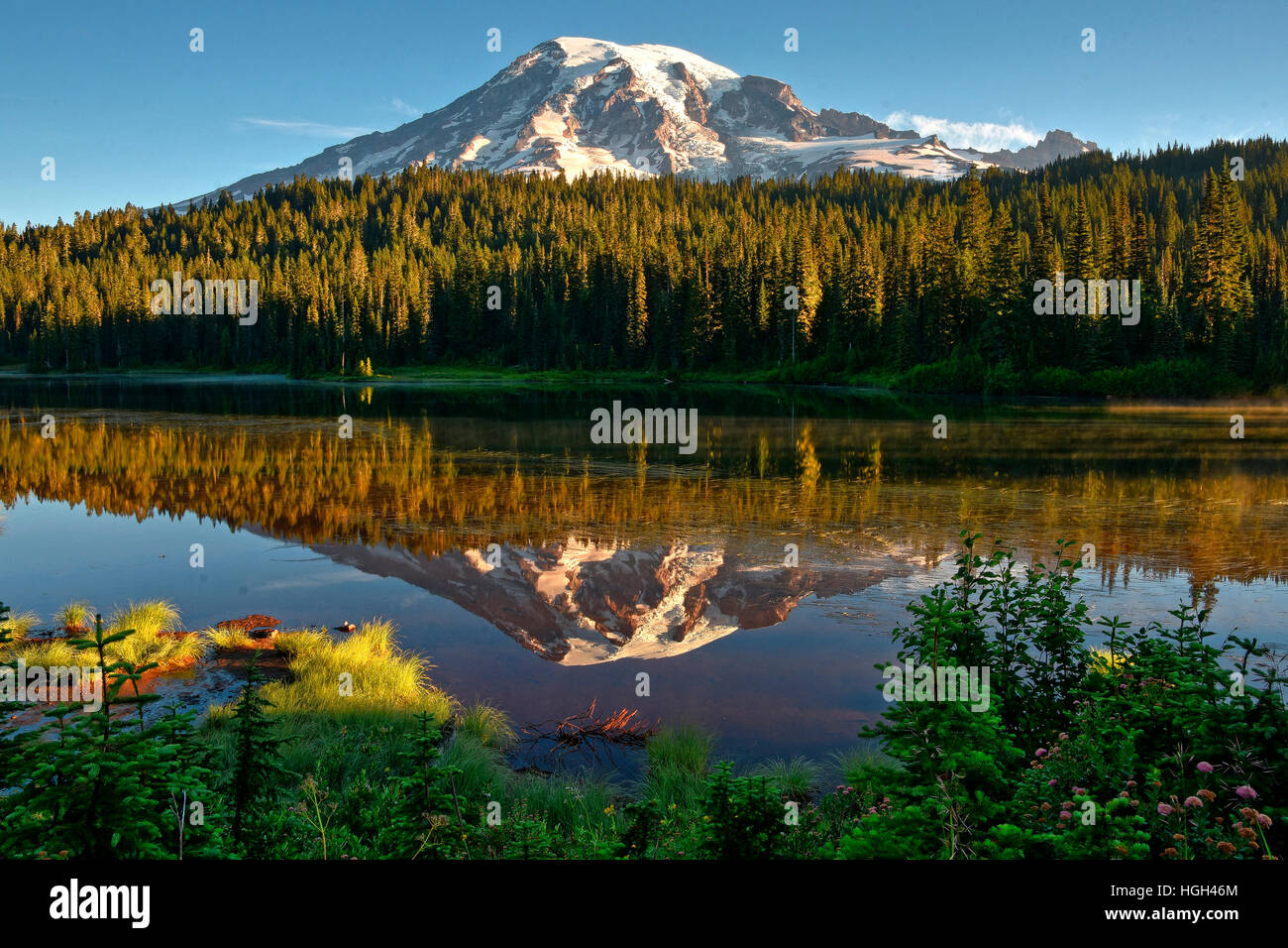 Reflection lake mount rainier hi-res stock photography and images - Alamy