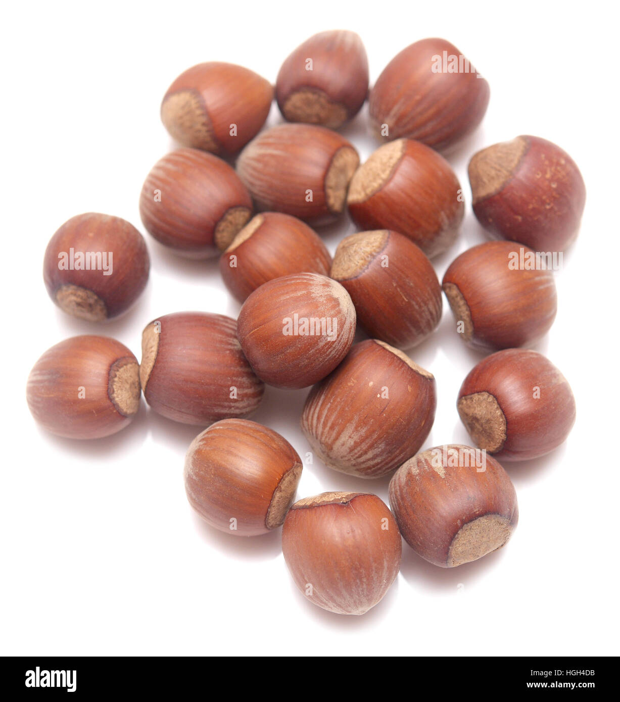 Australian hazelnuts hi-res stock photography and images - Alamy