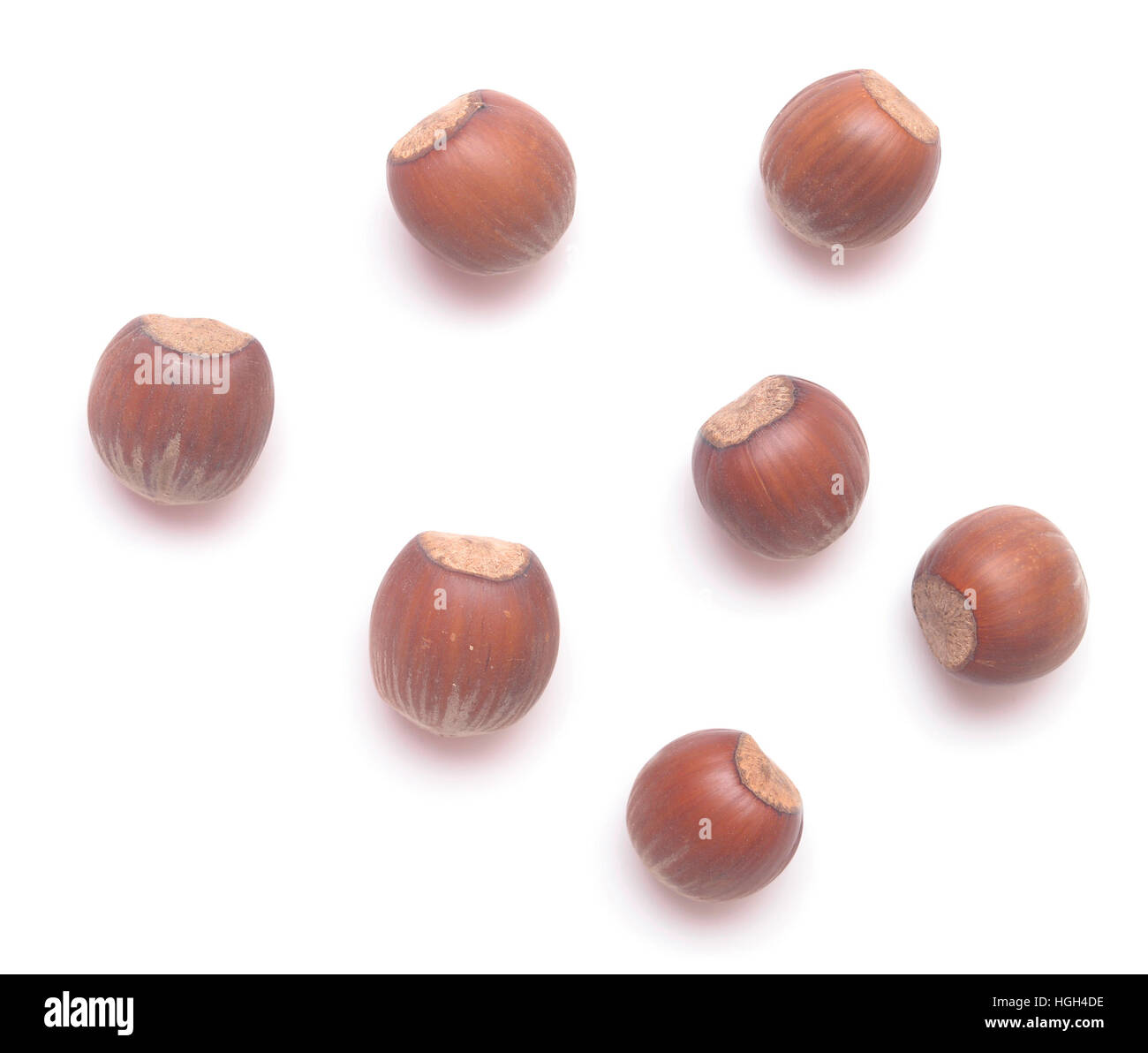 hazelnuts isolated on white background Stock Photo - Alamy