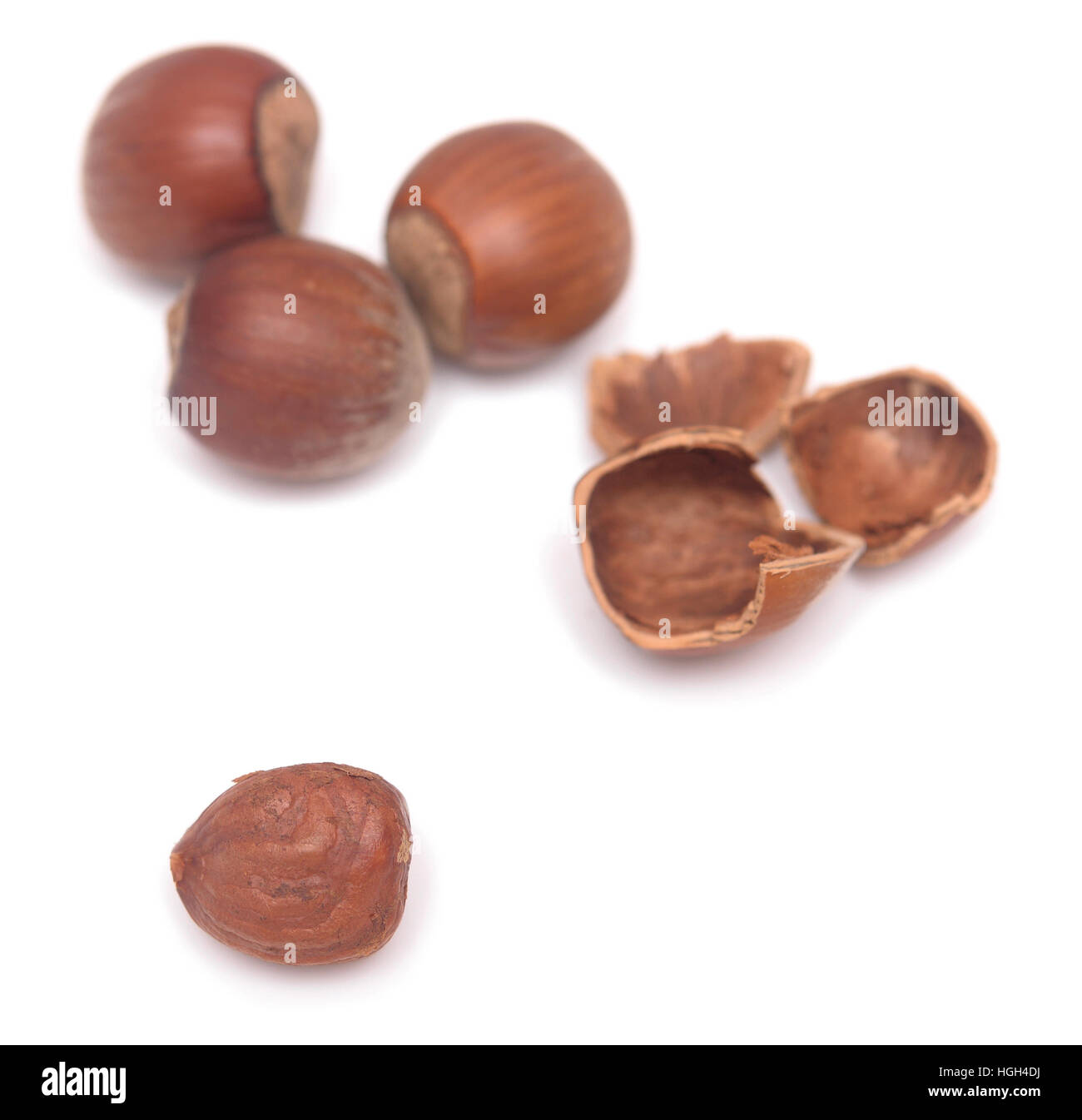 Australian hazelnuts hi-res stock photography and images - Alamy