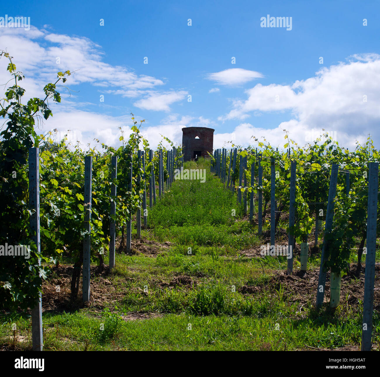Vineyard tower hi-res stock photography and images - Alamy