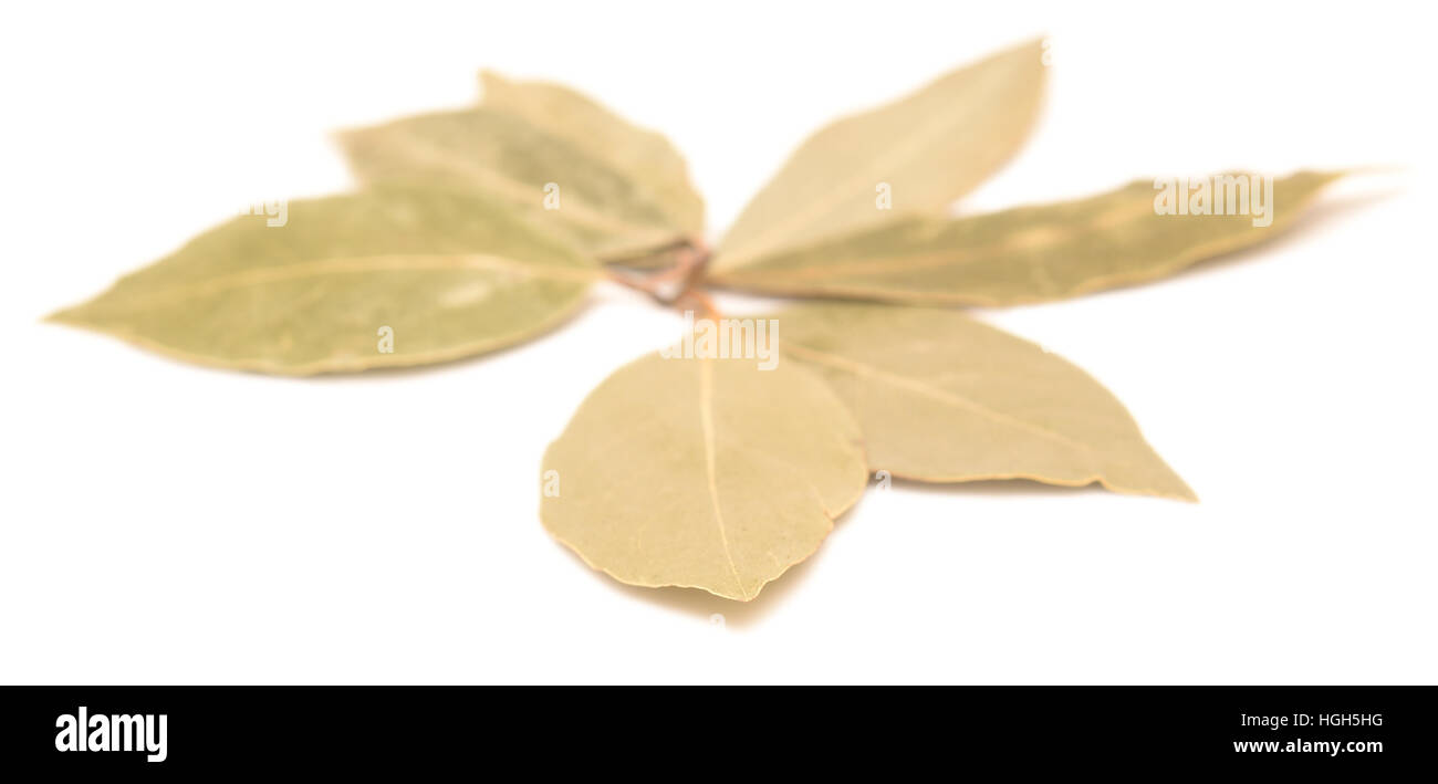 bay leaf isolated on white background Stock Photo - Alamy
