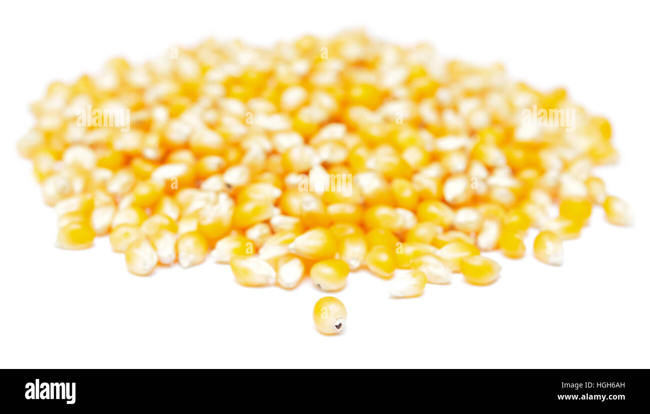 corn isolated on white background Stock Photo - Alamy