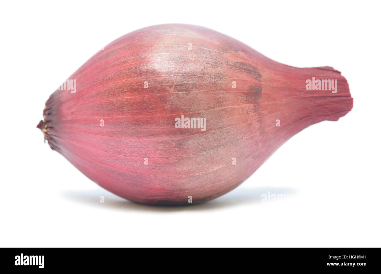 onion isolated on white background Stock Photo - Alamy