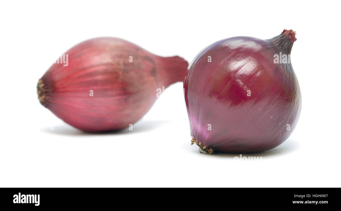 onion isolated on white background Stock Photo - Alamy