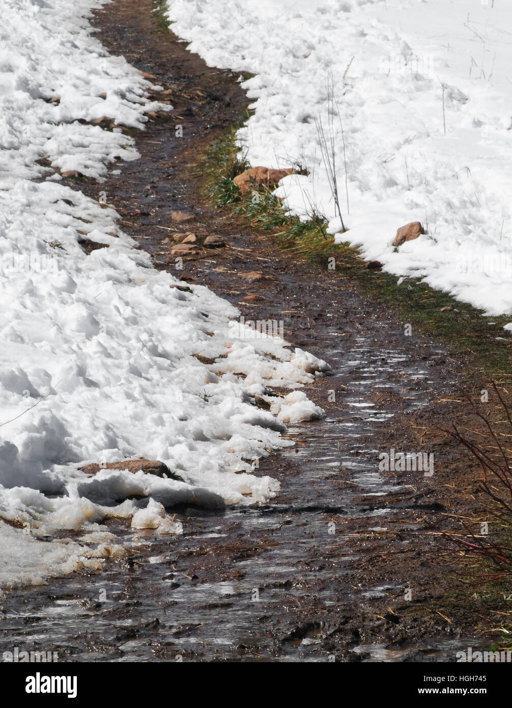 A muddy wet winter hiking path through the white snow. Exercise in ...