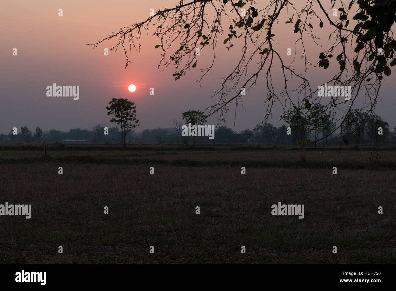 Soft tone hi-res stock photography and images - Alamy