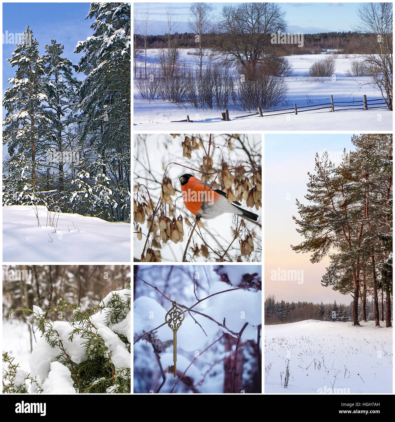 Beautiful winter collage Stock Photo - Alamy