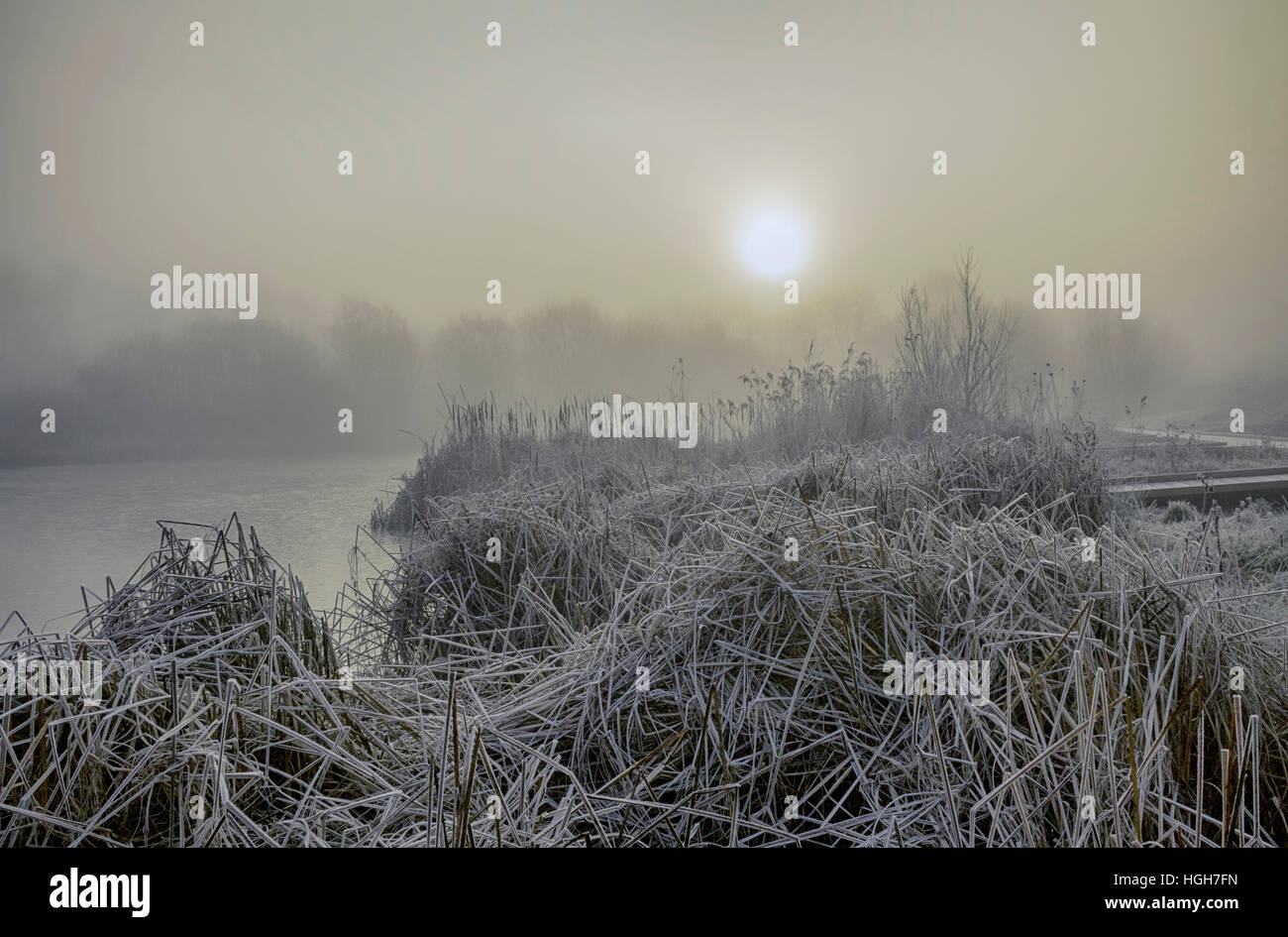 Over reed beds hi-res stock photography and images - Alamy