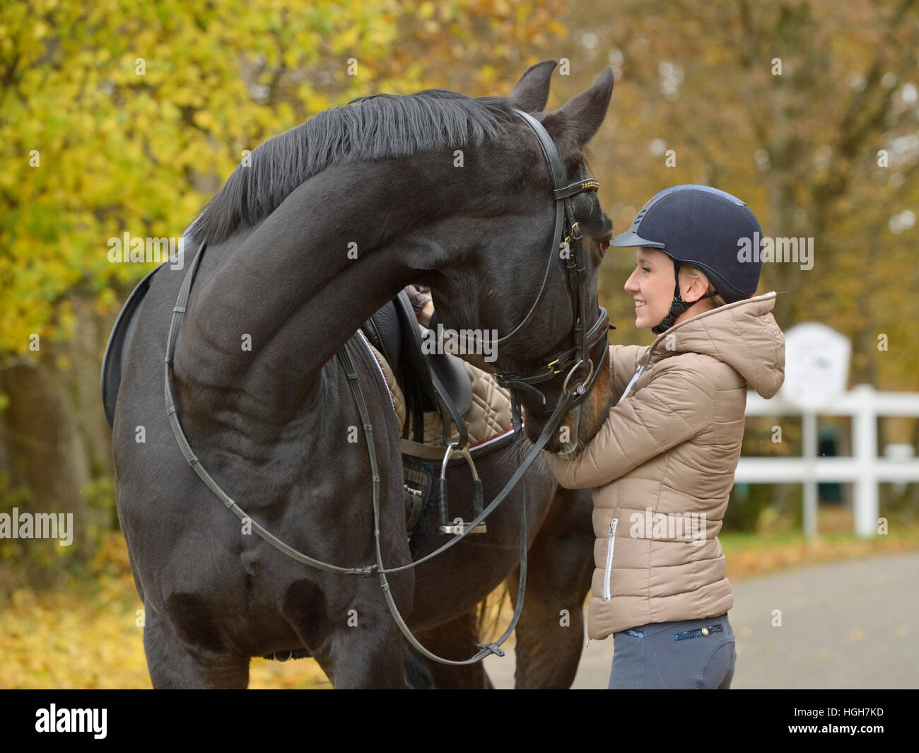 Stirrup strap hi-res stock photography and images - Alamy