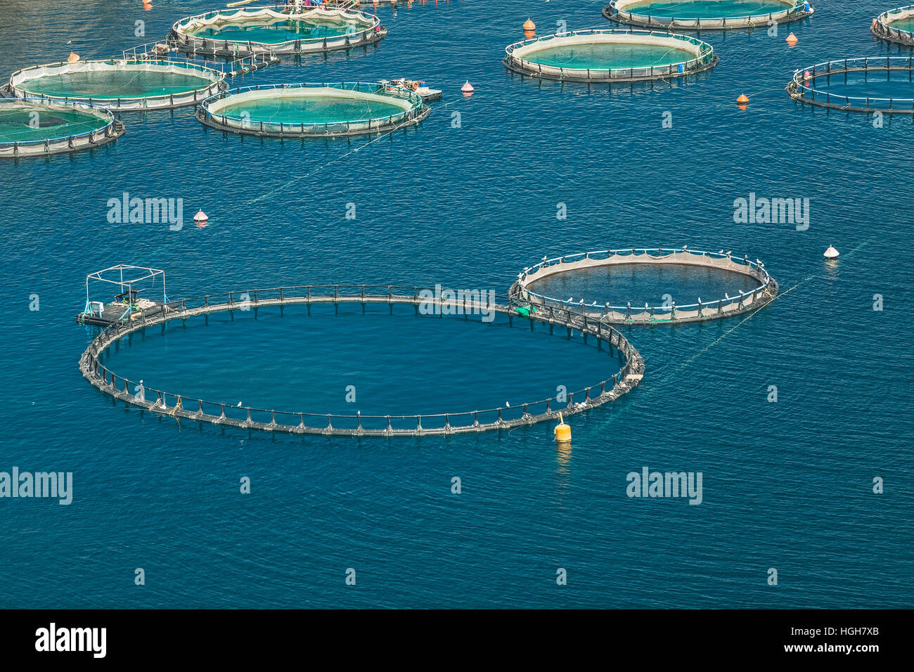 Fish farm in the sea Stock Photo - Alamy