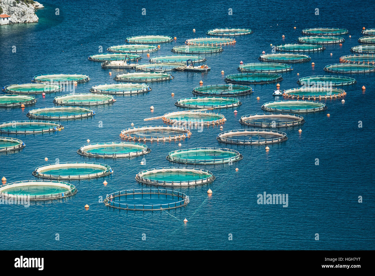Fish farm in the sea Stock Photo - Alamy
