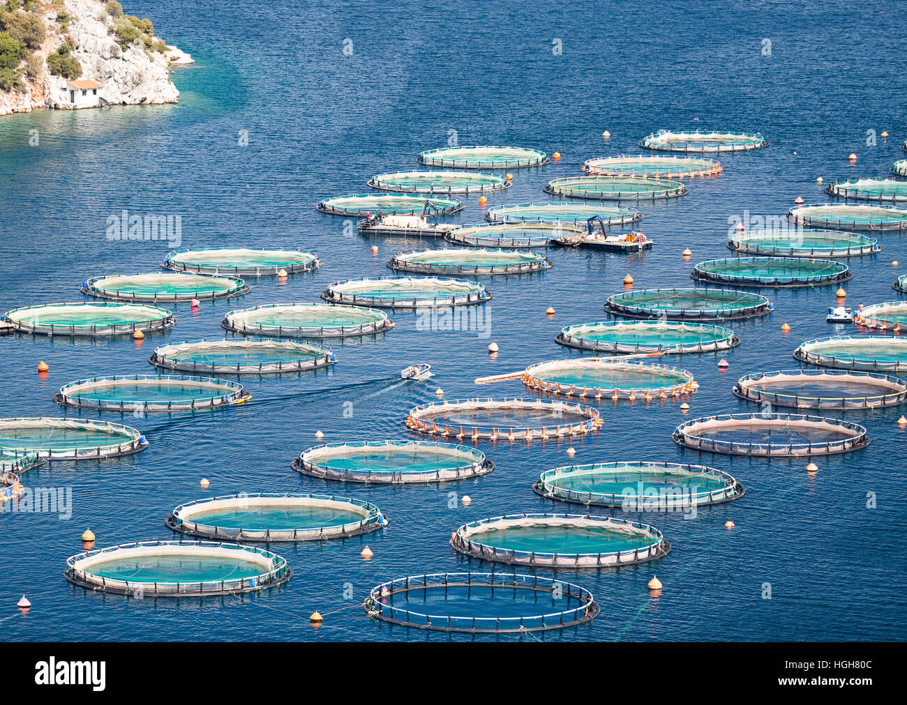 Fish farm in the sea Stock Photo - Alamy